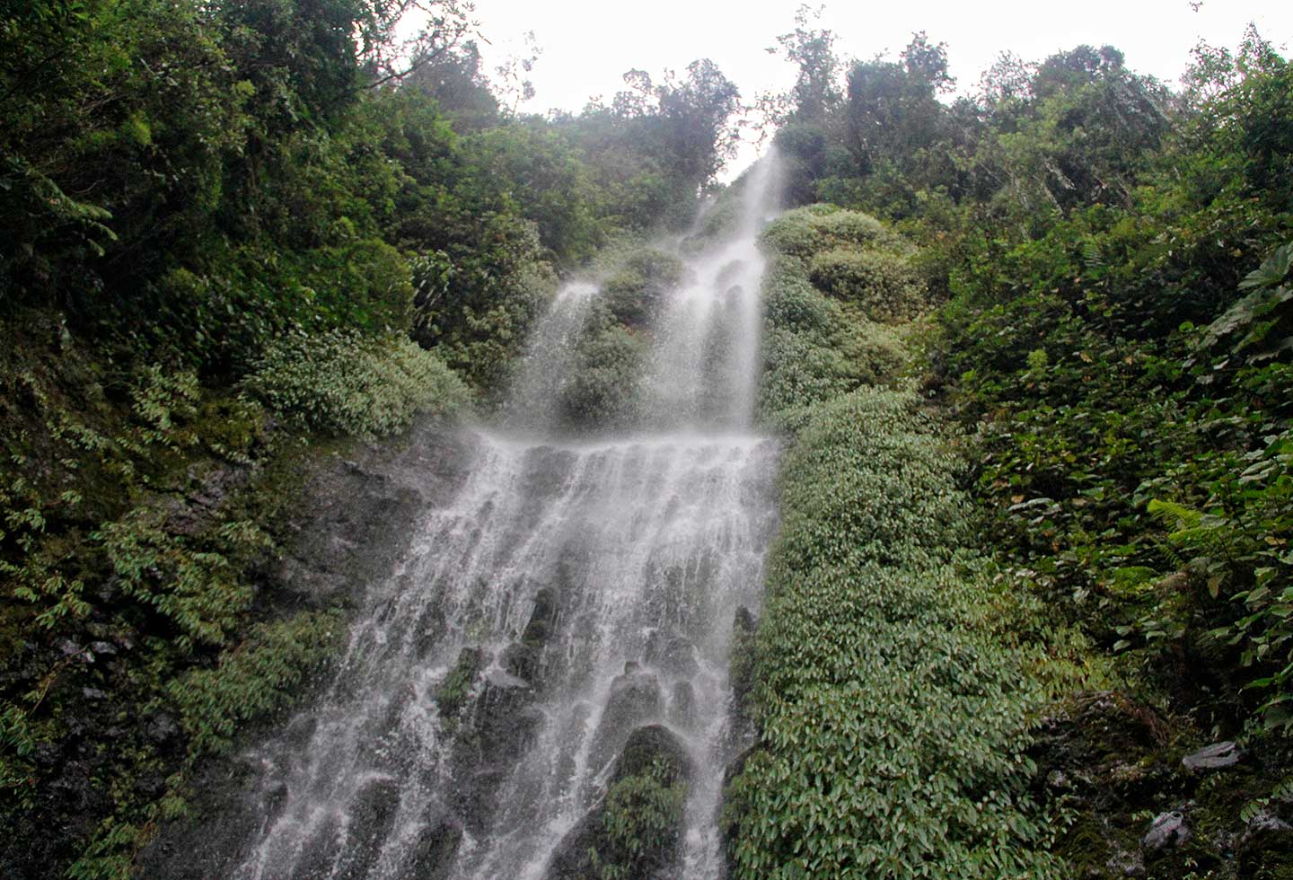 Risaralda busca posicionarse como destino turístico colombiano de ...