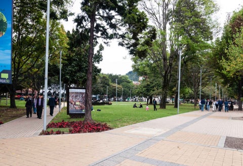 Parque 93 en Bogotá se transforma con jardines sensoriales