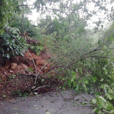 Derrumbes en Antioquia: en riesgo por las fuertes lluvias