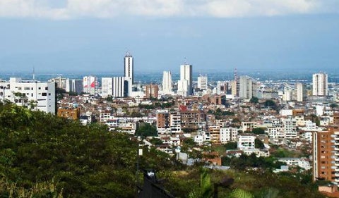 Consternación en Cali por homicidios: en menos de un mes ya se ...