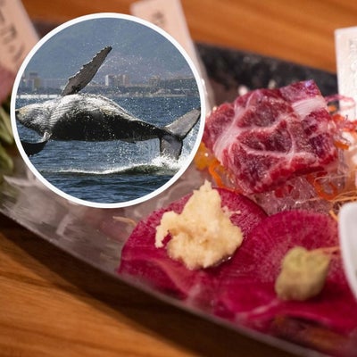 Chef colombiano con estrella Michelin lamentó comer ballena