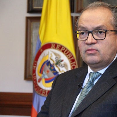 Procurador Carrillo dice que es preocupante incremento de cultivos ...
