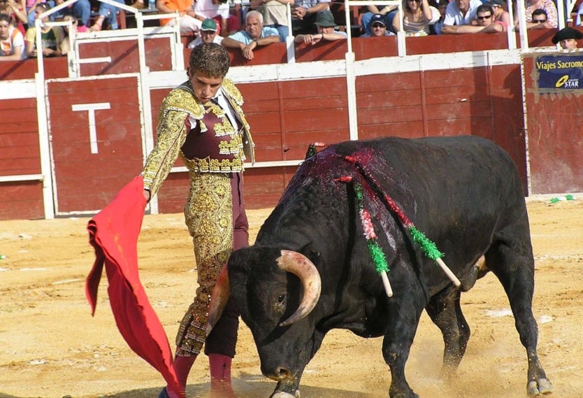 Corridas de toros en Colombia y las firmas que recibió el Congresa | La FM
