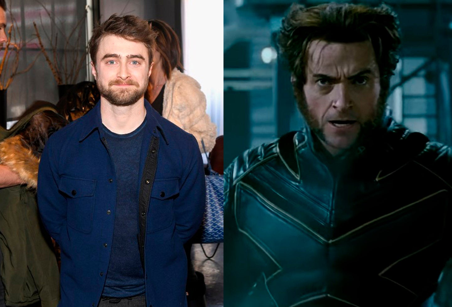 ¿Daniel Radcliffe sería el nuevo Wolverine?