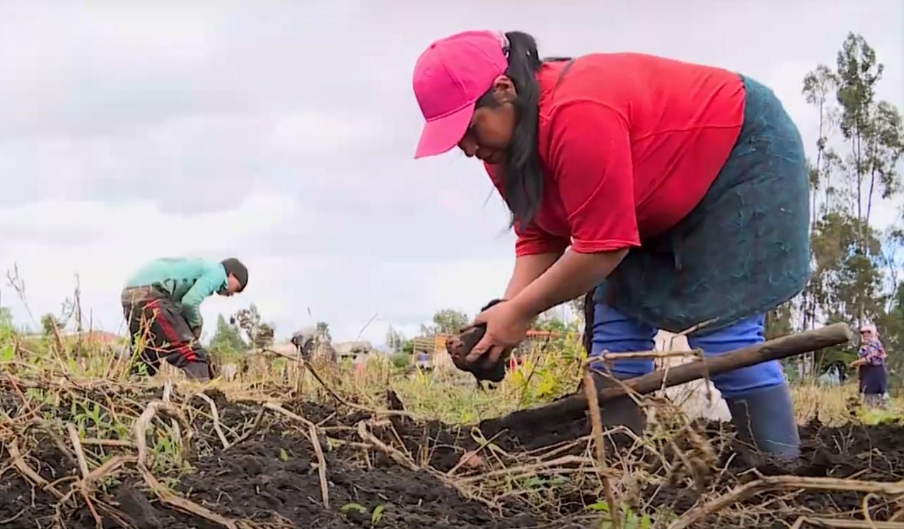 Mujeres rurales, cuáles son sus principales dificultades