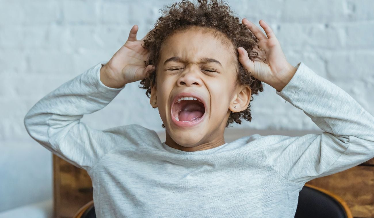 Canción del berrinche: de dónde nace la idea, Leo Camiser