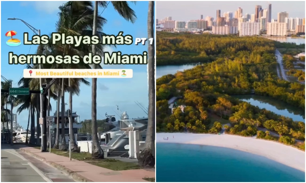 Las playas más lindas y famosas de Miami: tiene que ir si va