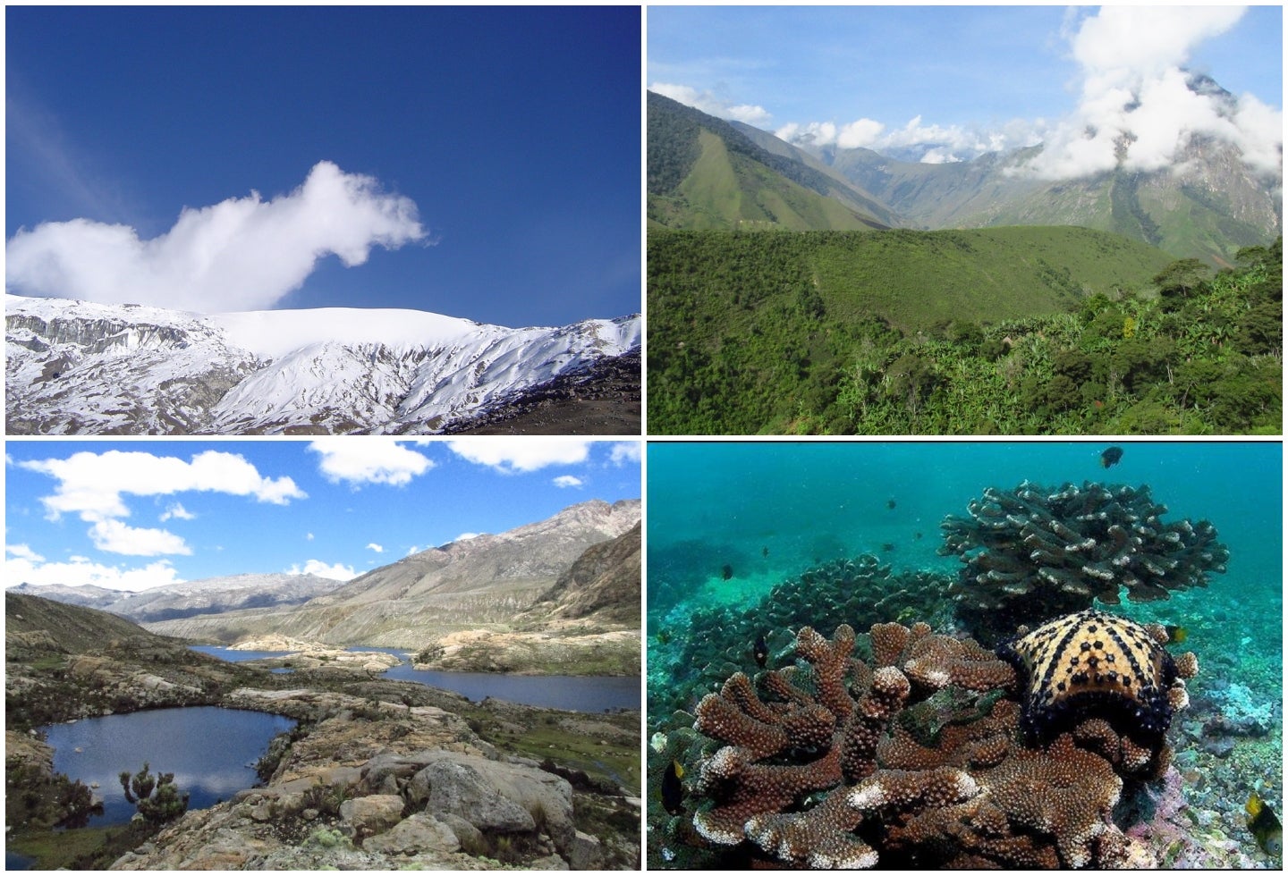 Blog de Parques Naturales de Colombia: Parques Naturales de Colombia