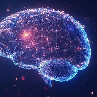 ¿A qué edad el cerebro alcanza su máximo potencial?