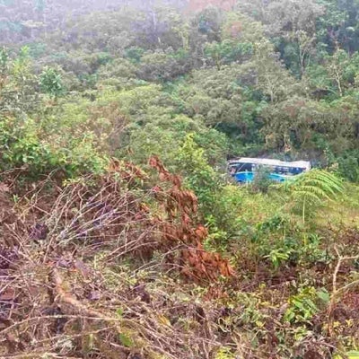 Un muerto y ocho heridos dejó accidente de bus de Copetran en la vía La ...