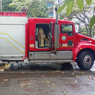 Afectaciones por lluvias en Cali: reportan árboles caídos y ...